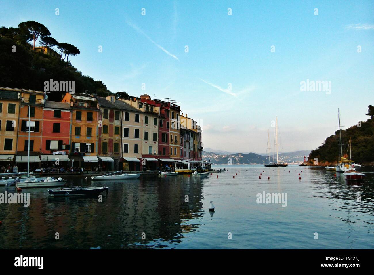 Fotografia albero architettura montagna immagini e fotografie stock ad ...