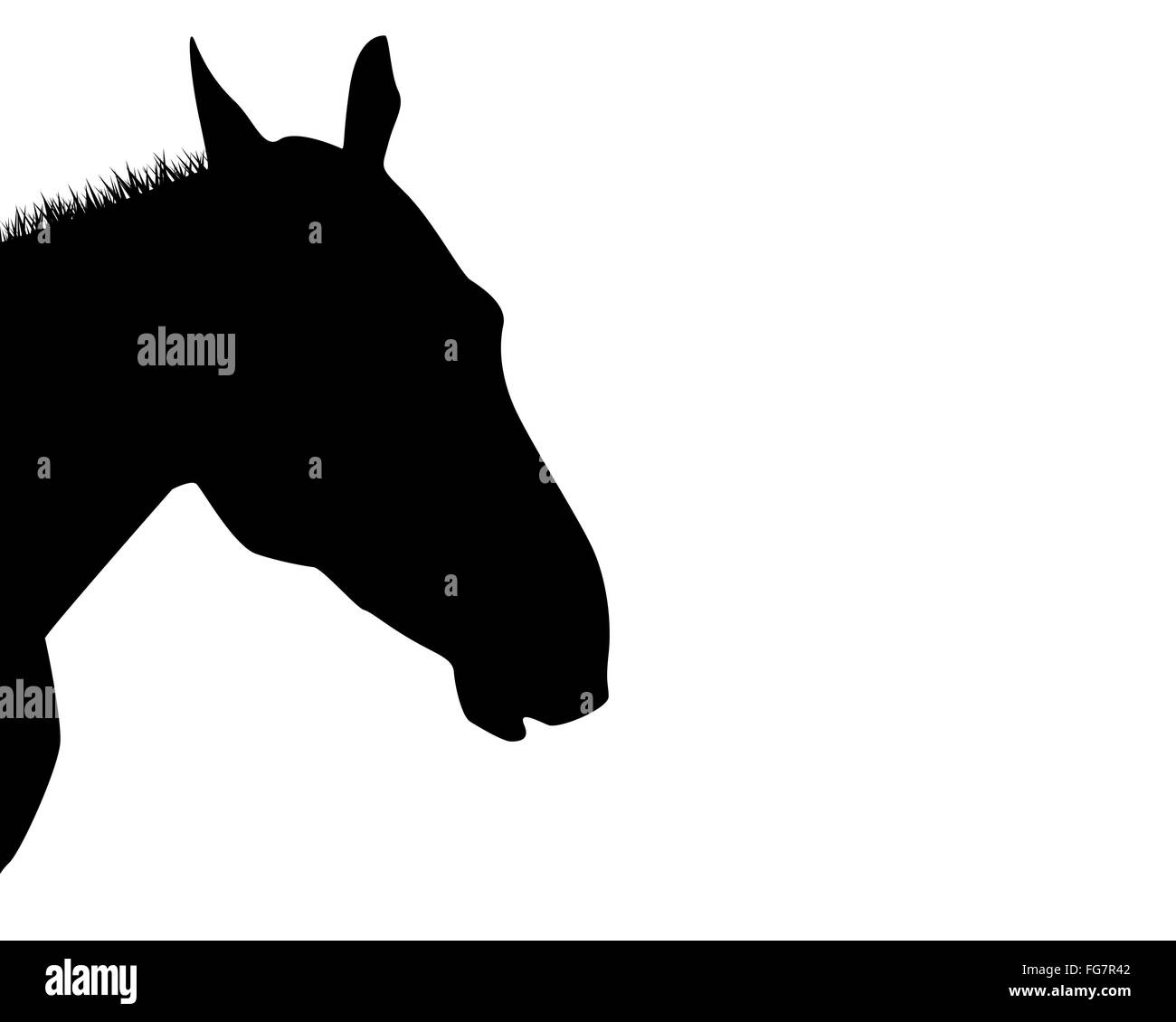 Cavallo disegno testa stilizzato Foto e Immagini Stock in Bianco e Nero ...