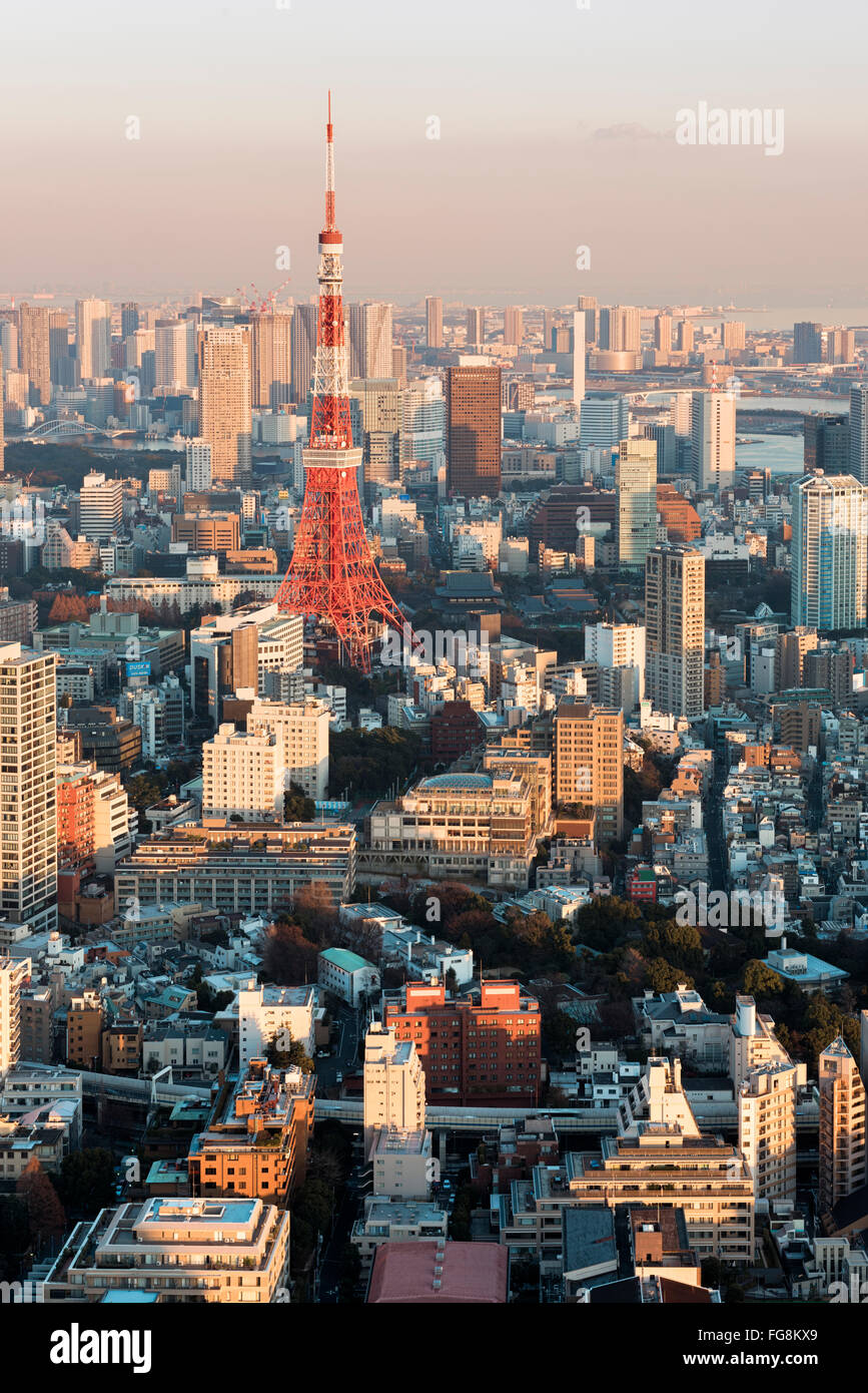 Japan tokyo sea life park immagini e fotografie stock ad alta ...