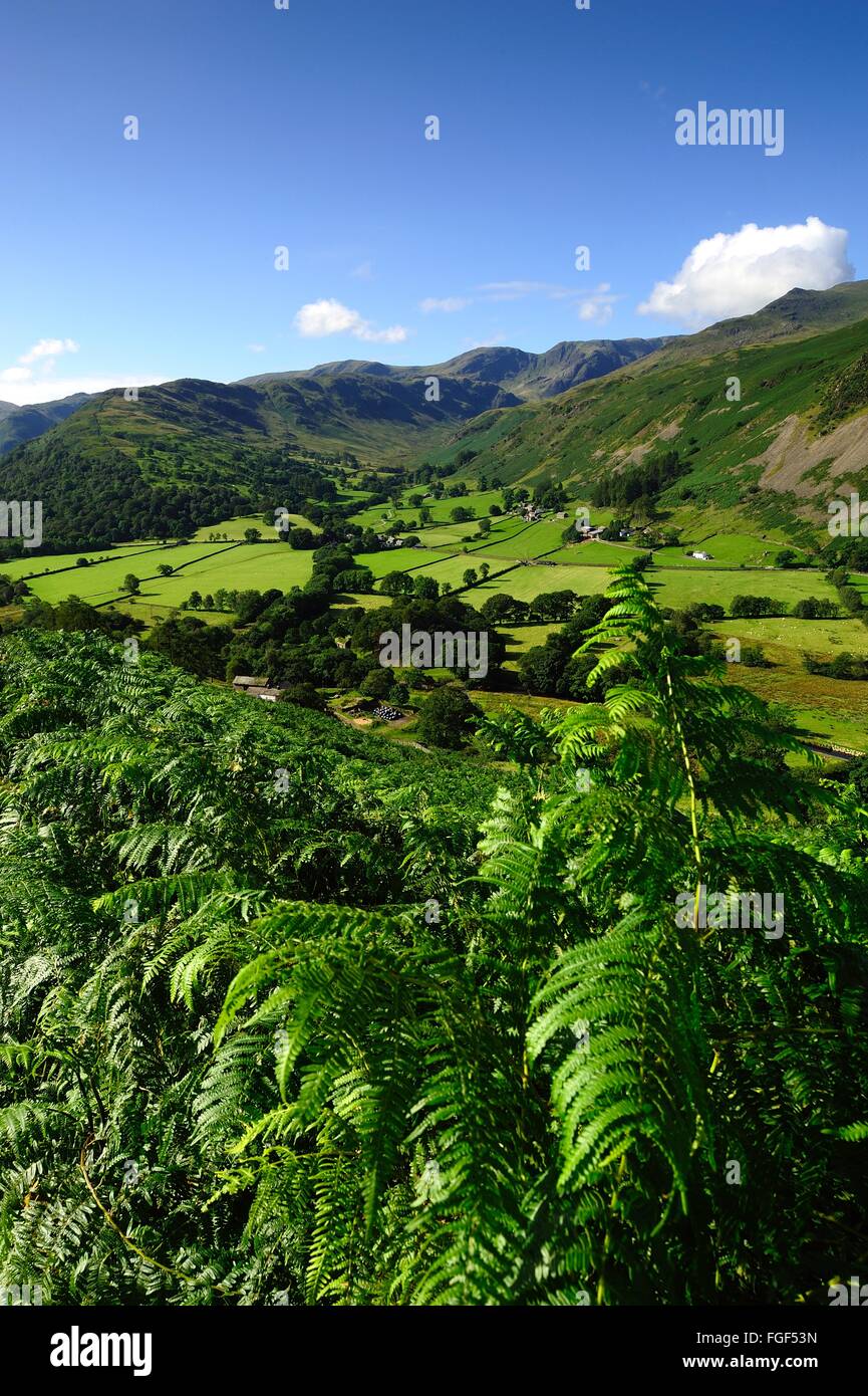 Deepdale valley patterdale immagini e fotografie stock ad alta ...