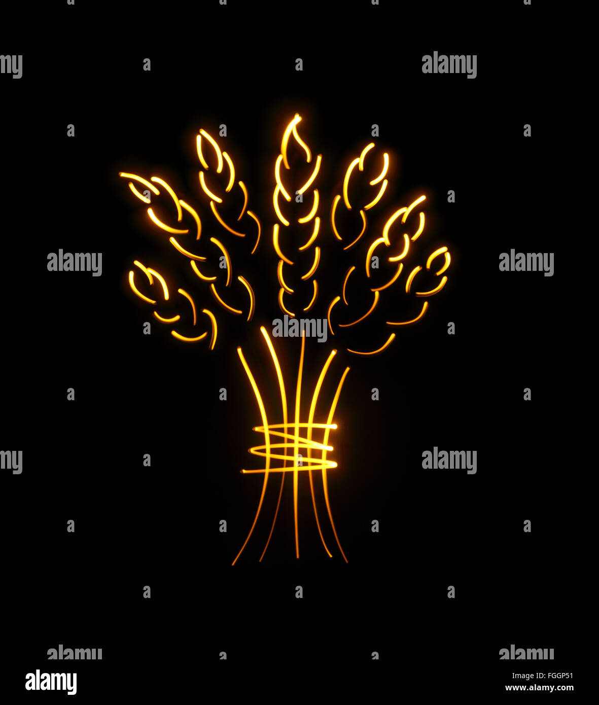 Orzo di mare immagini e fotografie stock ad alta risoluzione - Alamy