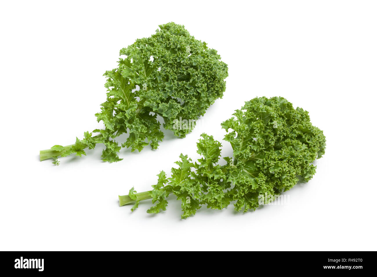 Cavolo riccio immagini e fotografie stock ad alta risoluzione - Alamy