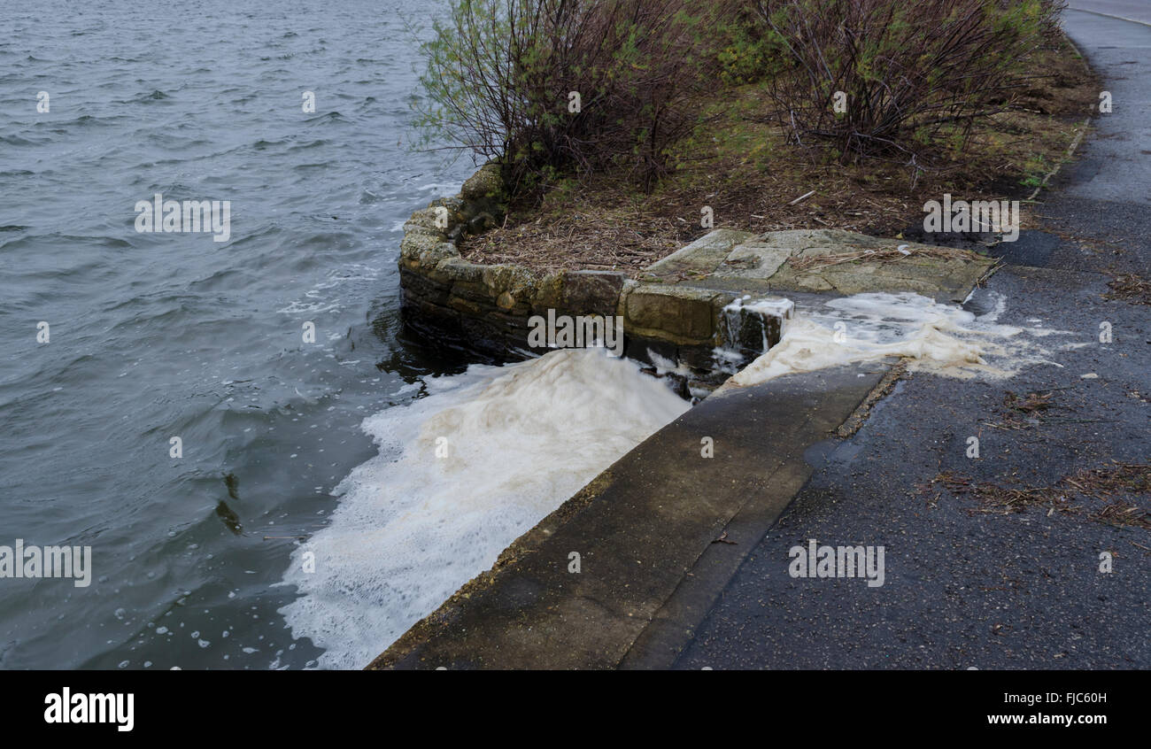 Inquinamento Delle Acque Immagini e Fotos Stock - Alamy