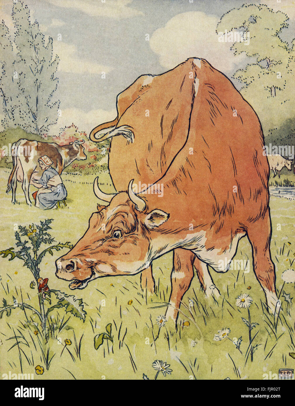 Il pollice di tom si siede sulla mucca mangiata del cardo selvatico ...