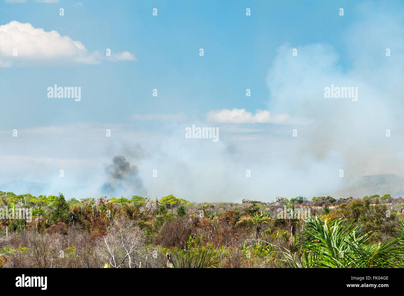 Exhaust flames immagini e fotografie stock ad alta risoluzione - Alamy