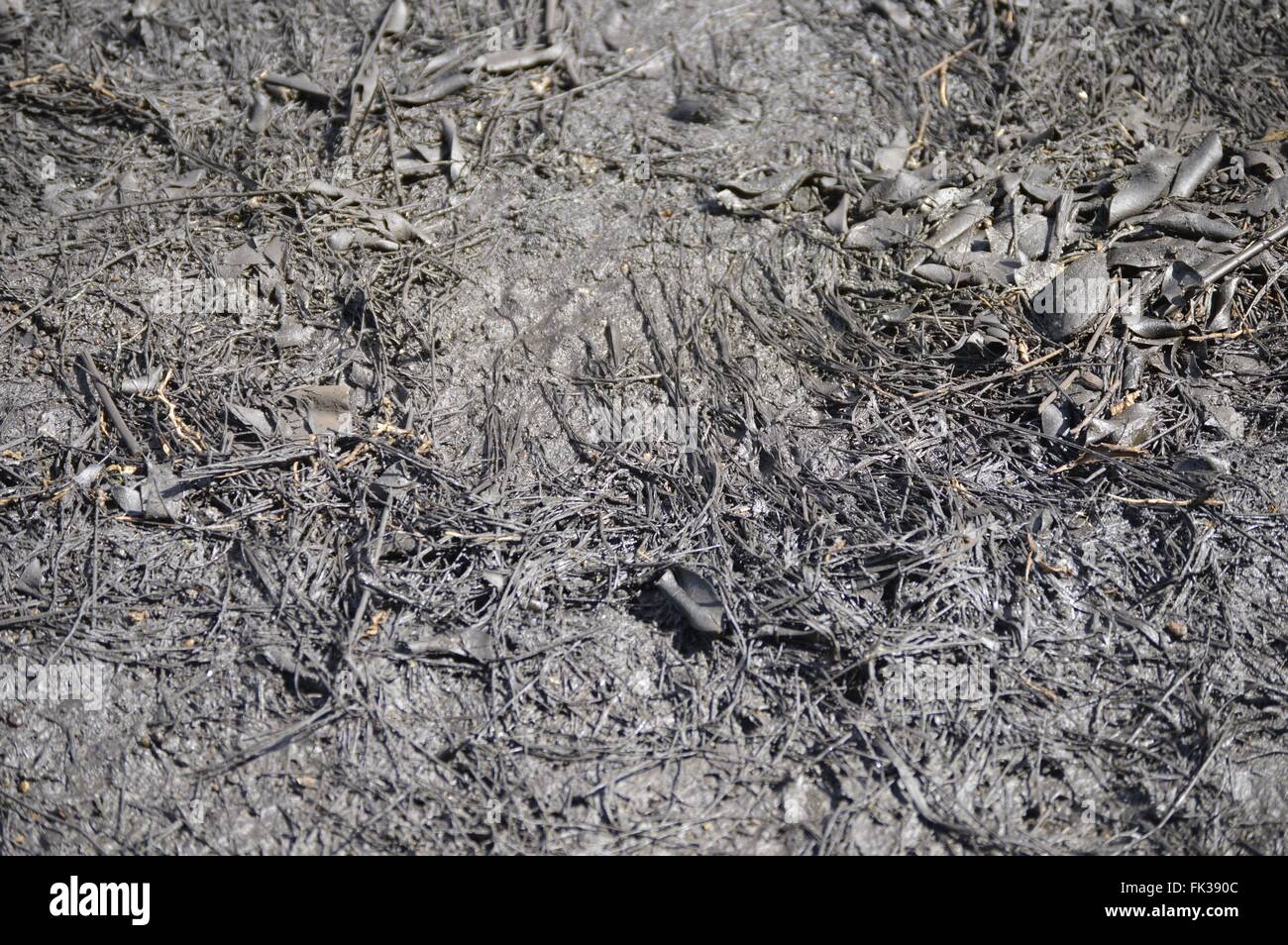 Inquinamento del suolo immagini e fotografie stock ad alta risoluzione - Alamy