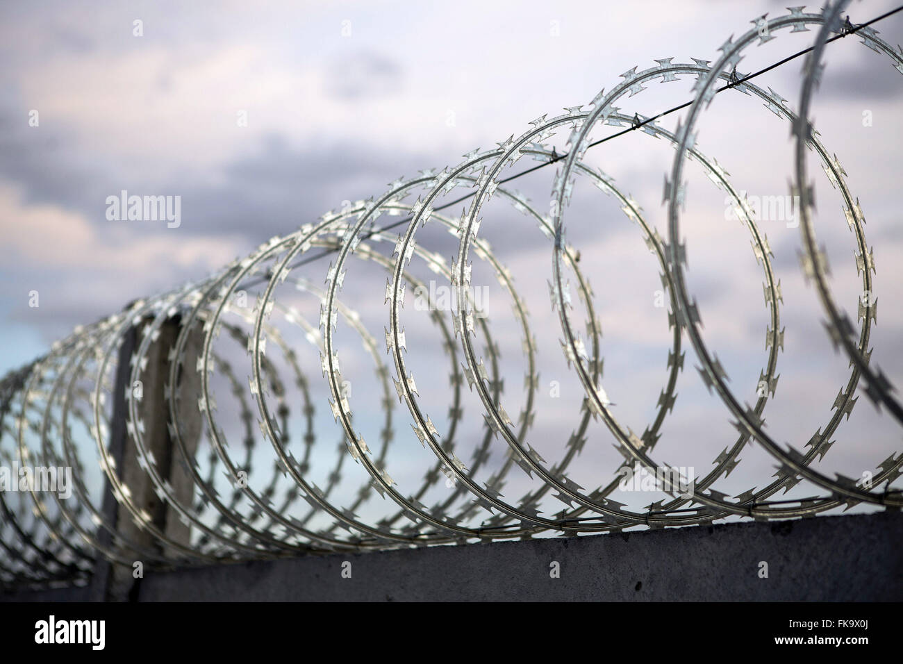 Recinzione di filo spinato o filo spinato immagini e fotografie stock ...