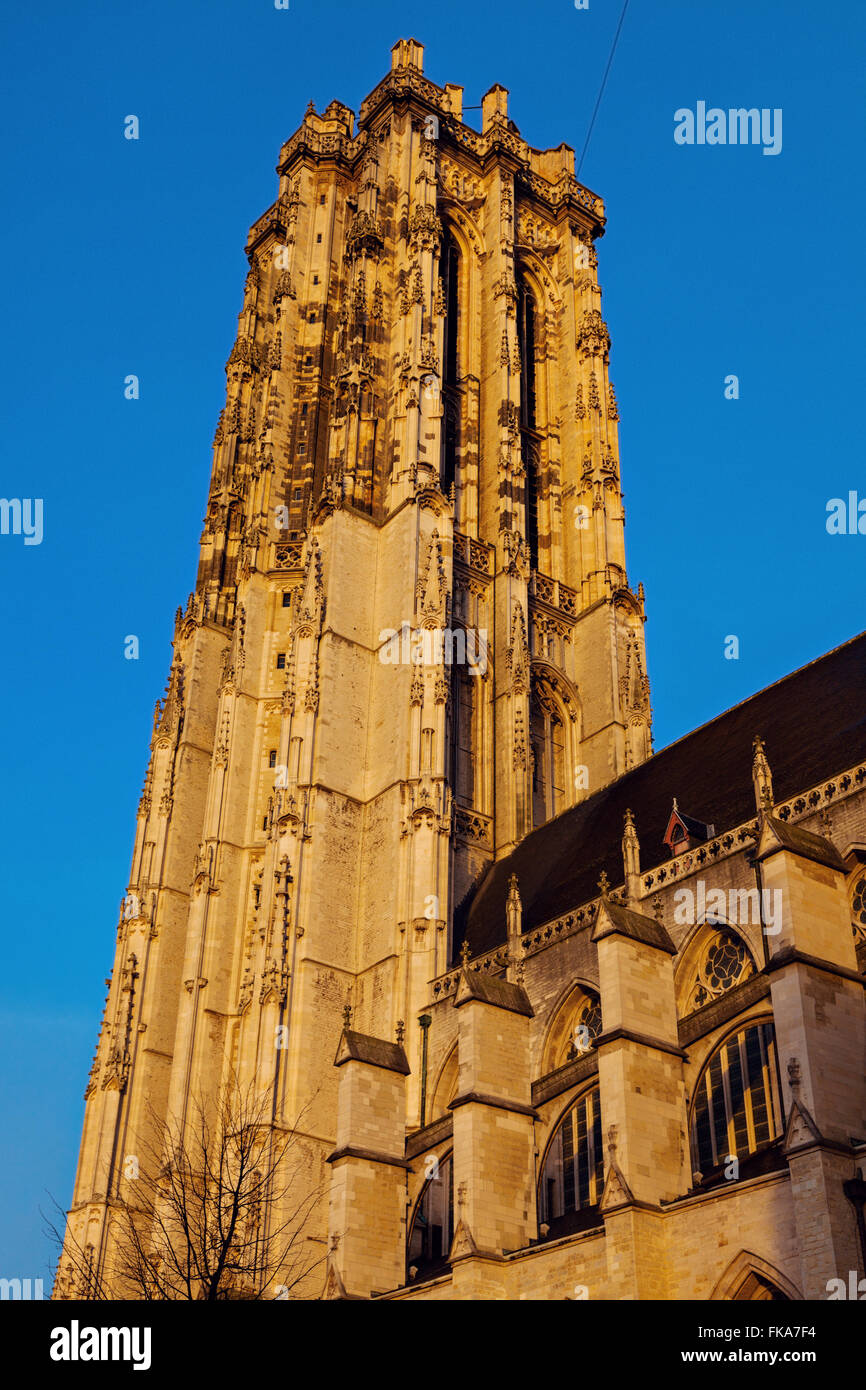 Cattedrale di san rumbold immagini e fotografie stock ad alta ...