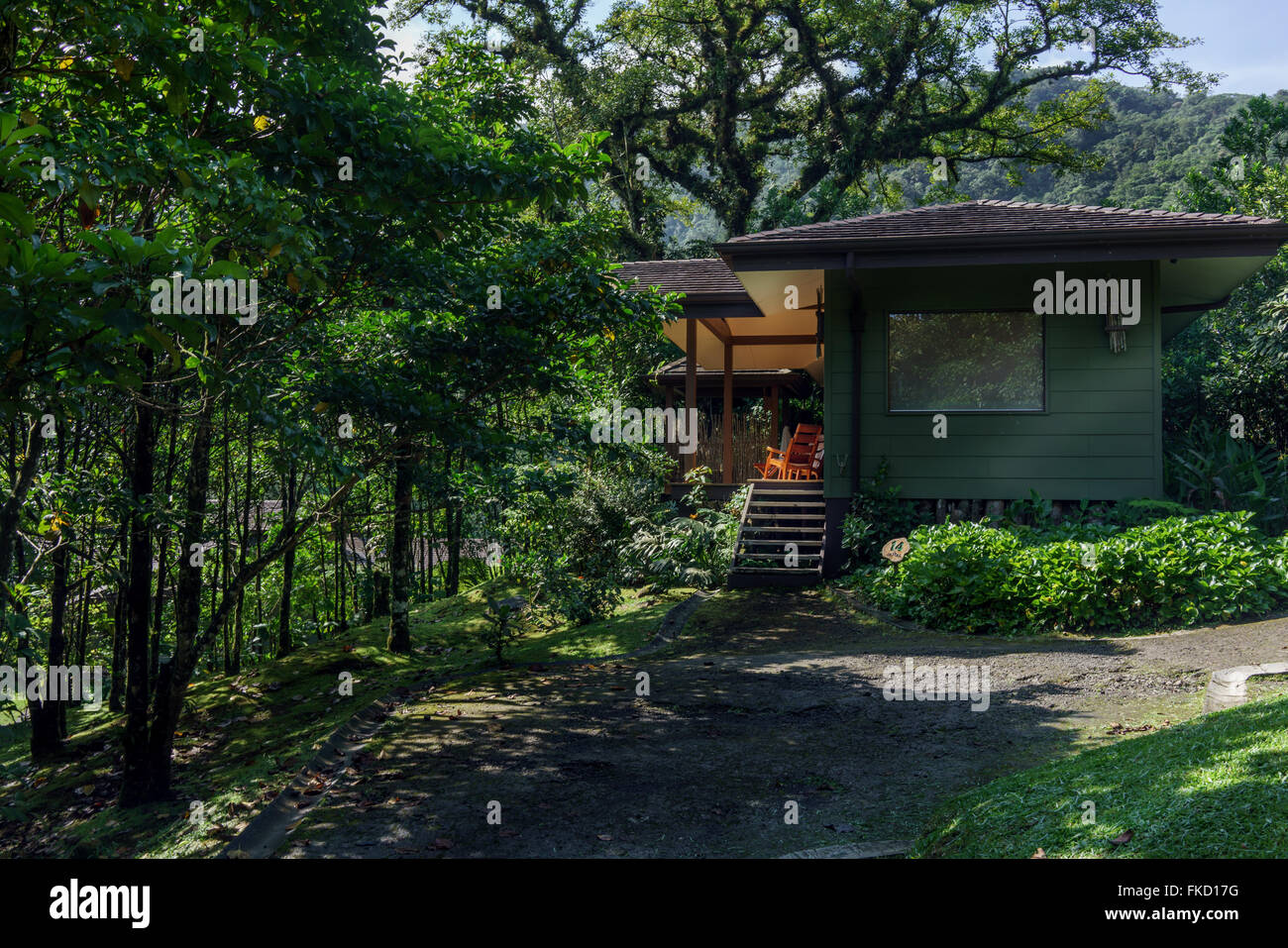 Turista della foresta della costa rica immagini e fotografie stock ad ...