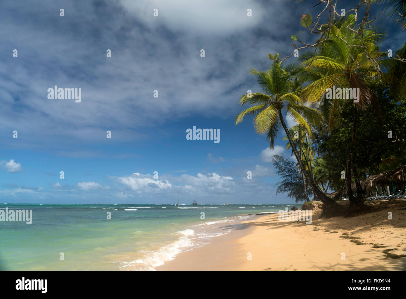 Spiaggia di samana immagini e fotografie stock ad alta risoluzione - Alamy