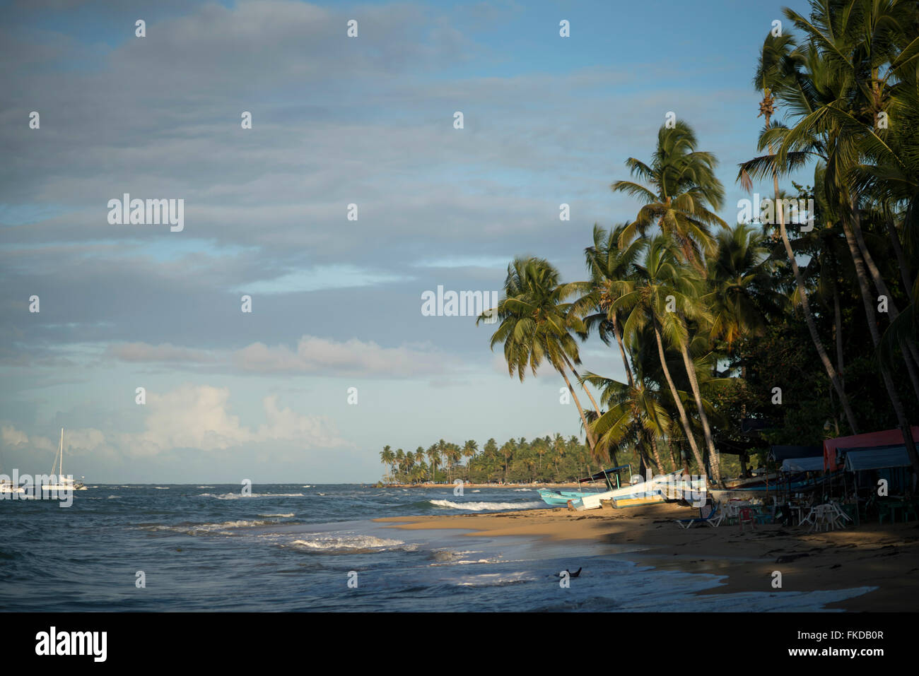 Spiaggia di samana immagini e fotografie stock ad alta risoluzione - Alamy