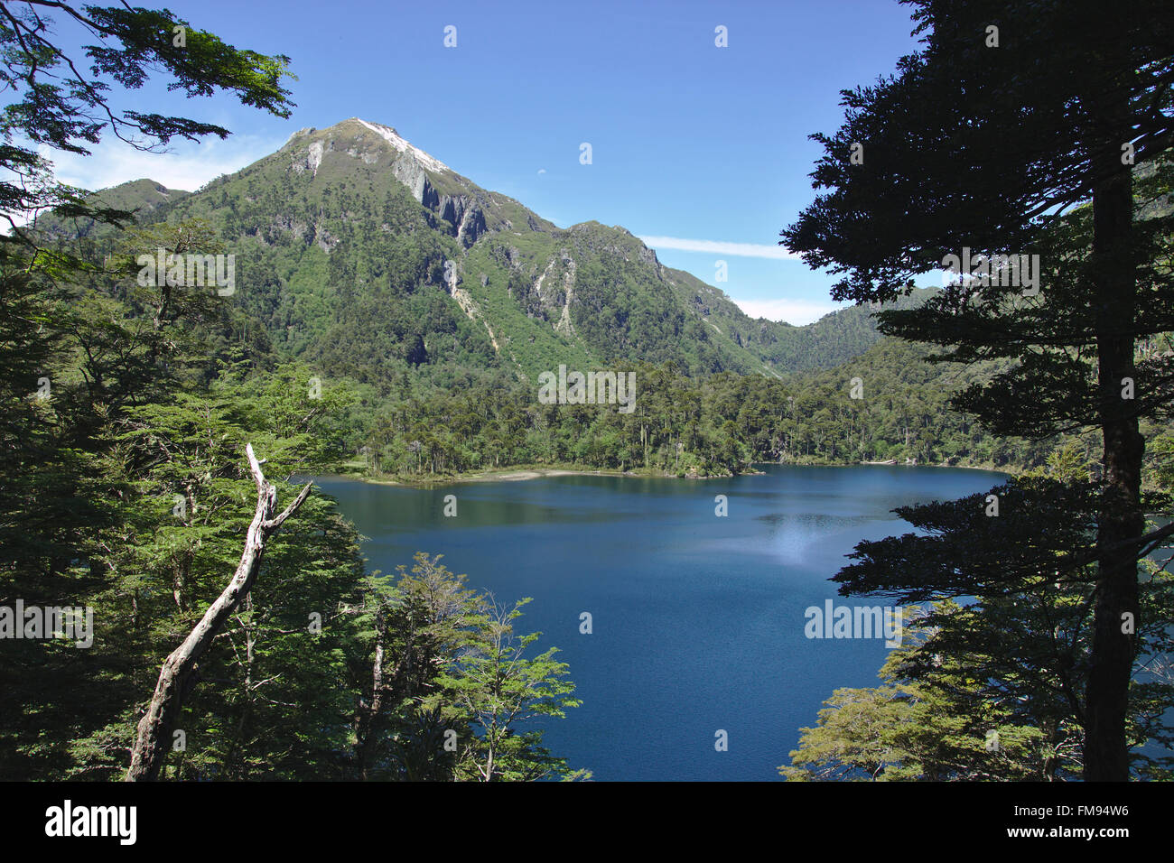 Lago El Toro con Araucaria, Huerquenes National Park, Patagonia, Cile ...