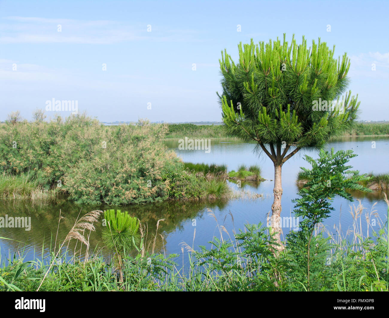 Estuario del fiume po immagini e fotografie stock ad alta risoluzione ...