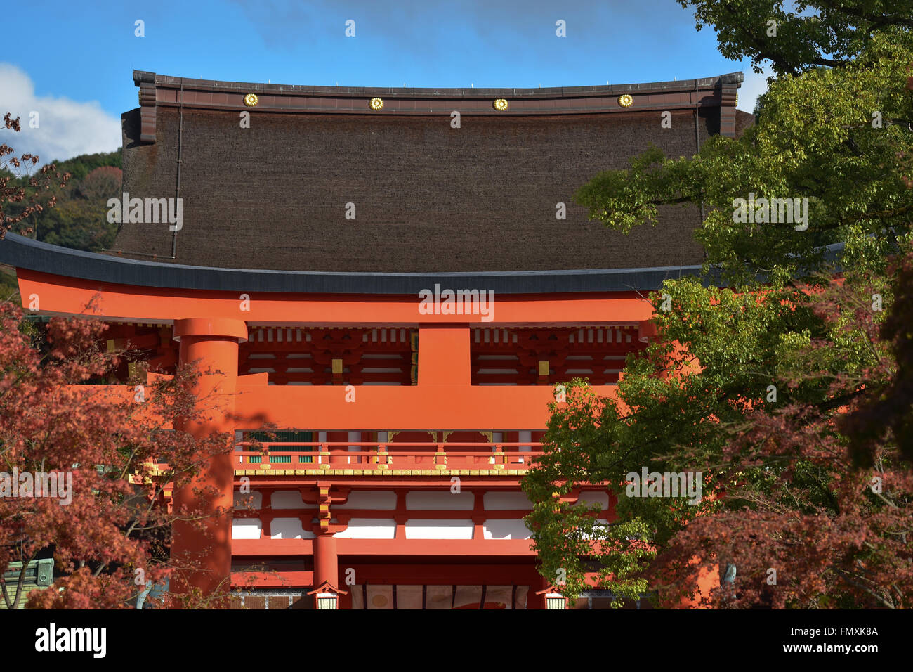 Nel giardino del tempio fushimi inari taisha immagini e fotografie ...