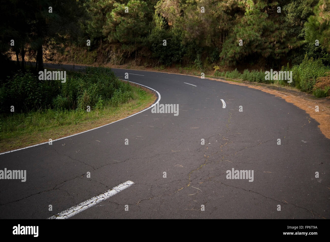 Strada con curve curve immagini e fotografie stock ad alta risoluzione ...