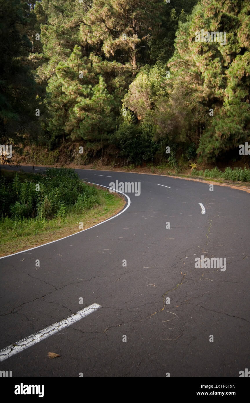 Strada con curve curve immagini e fotografie stock ad alta risoluzione ...