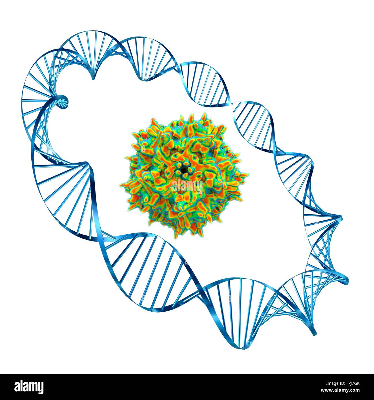 Adeno virus immagini e fotografie stock ad alta risoluzione - Alamy