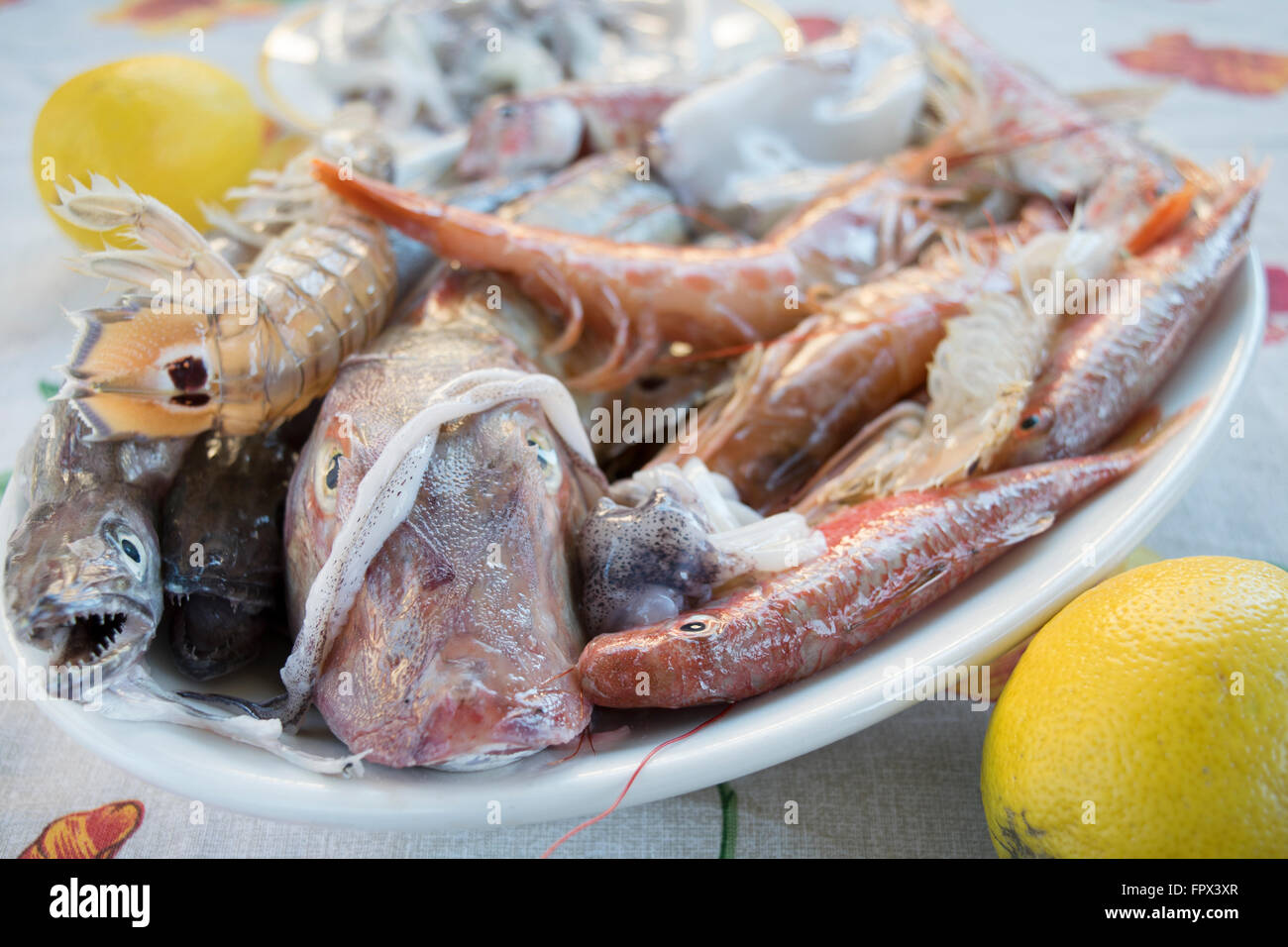 Pesce re del mare immagini e fotografie stock ad alta risoluzione - Alamy
