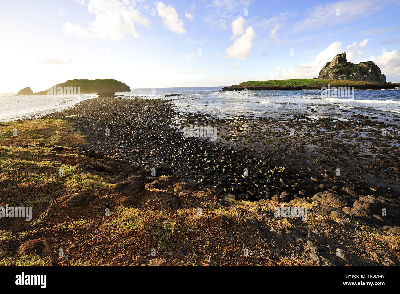Isola di fernando noronha immagini e fotografie stock ad alta ...