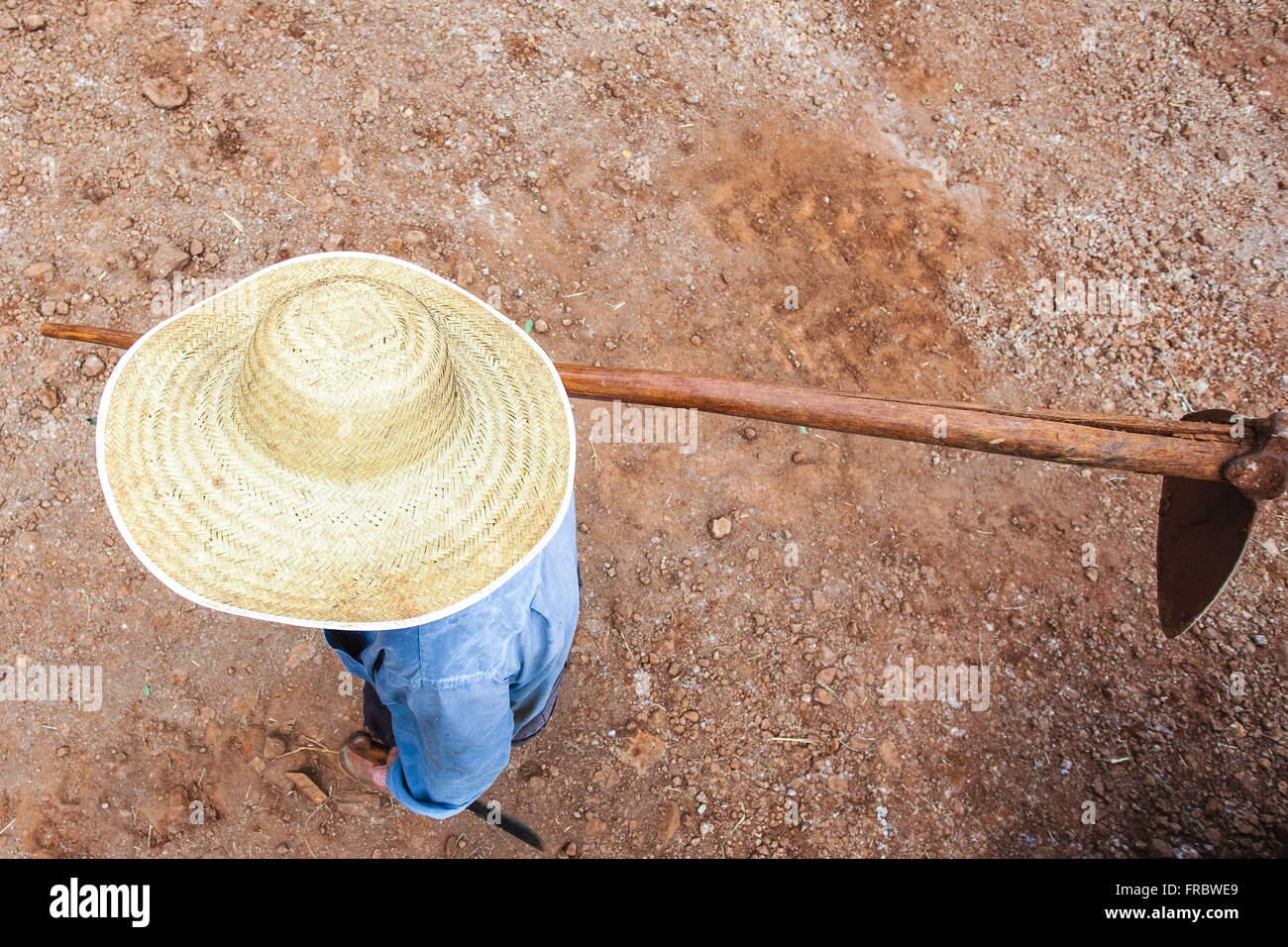 Vecchio contadino immagini e fotografie stock ad alta risoluzione - Alamy