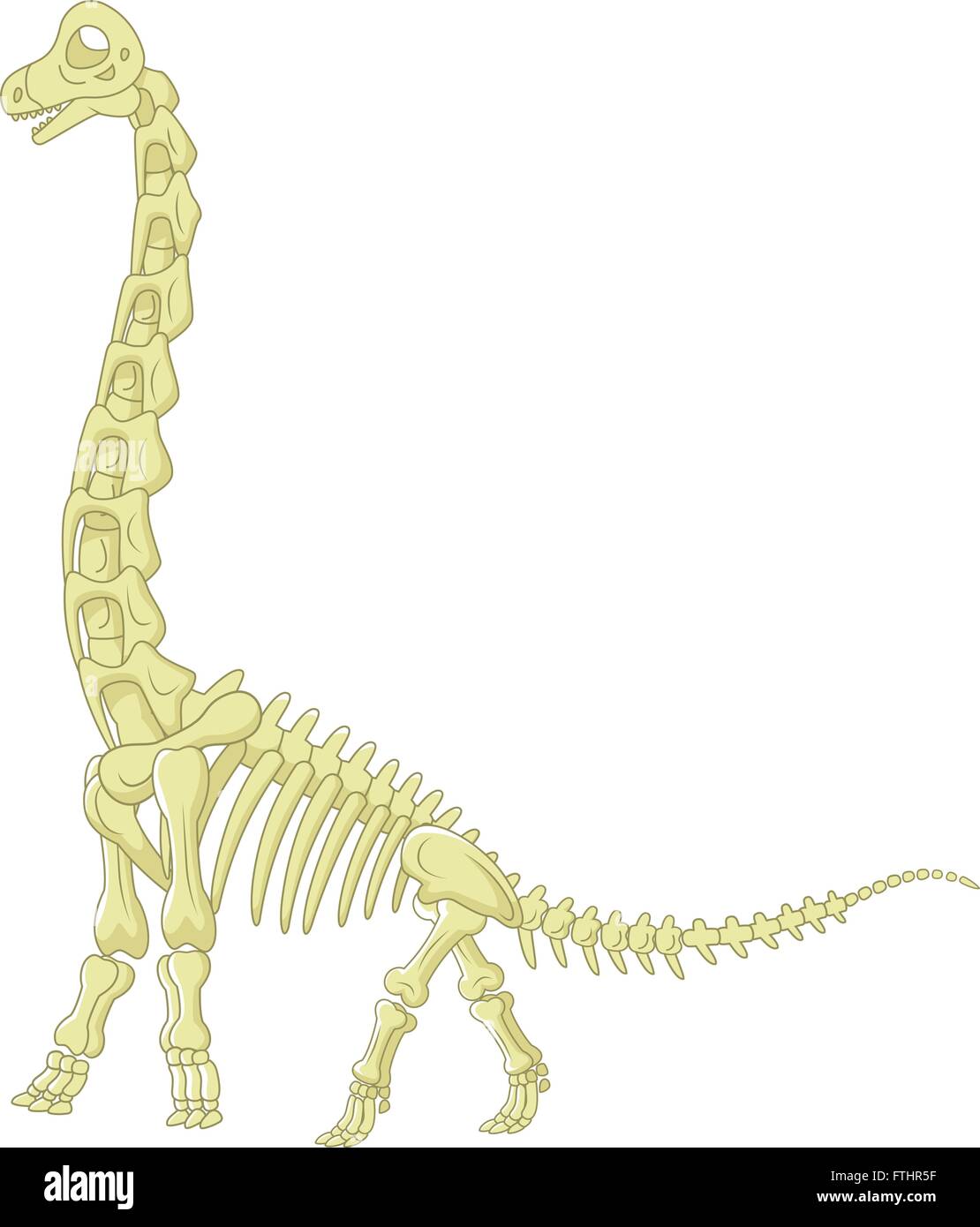 Scheletro di brontosauro Immagini Vettoriali Stock - Alamy