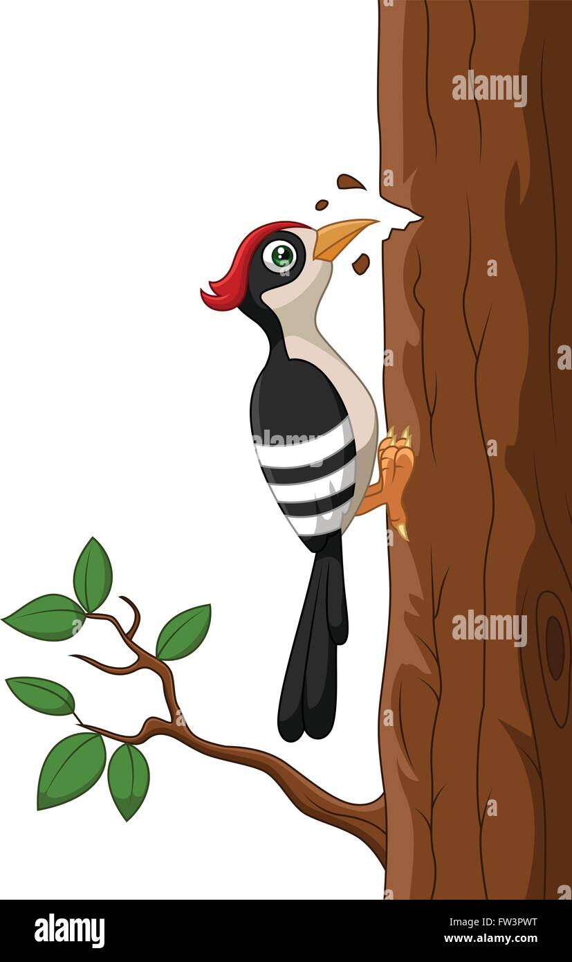 Un picchio Immagini Vettoriali Stock - Alamy