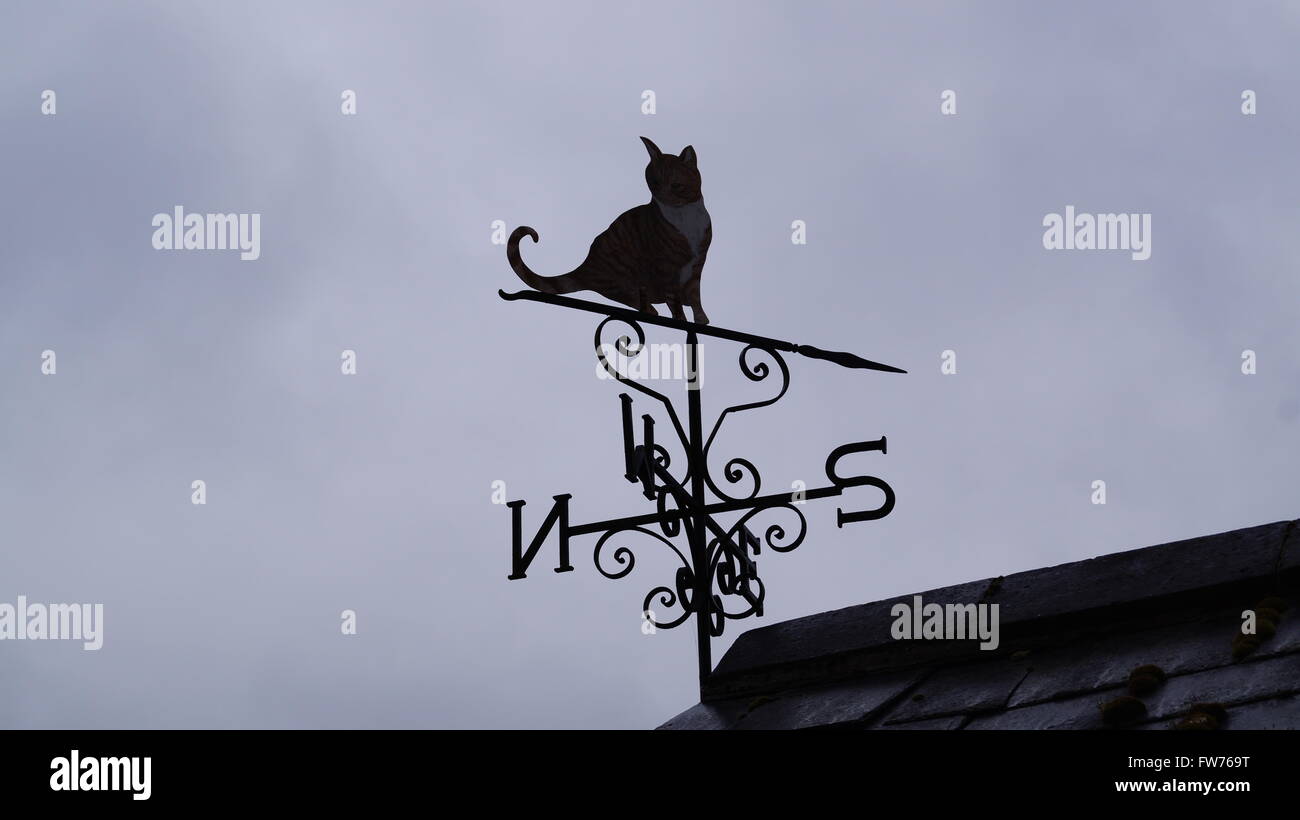 Banderuola di gatto immagini e fotografie stock ad alta risoluzione - Alamy