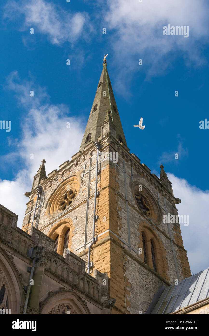 Colomba della pace immagini e fotografie stock ad alta risoluzione - Alamy