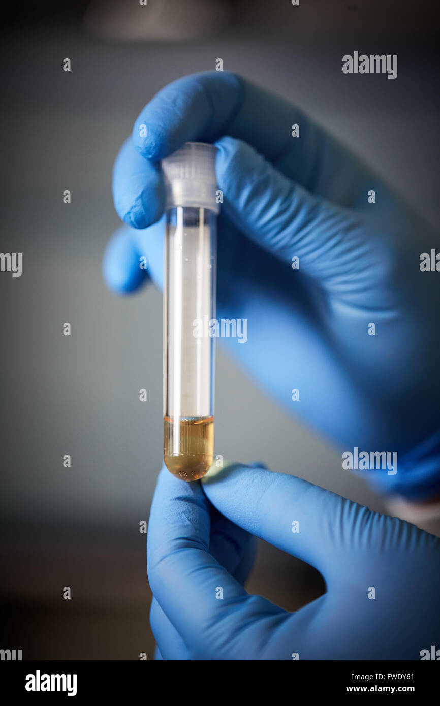 Testare il vetro immagini e fotografie stock ad alta risoluzione - Alamy