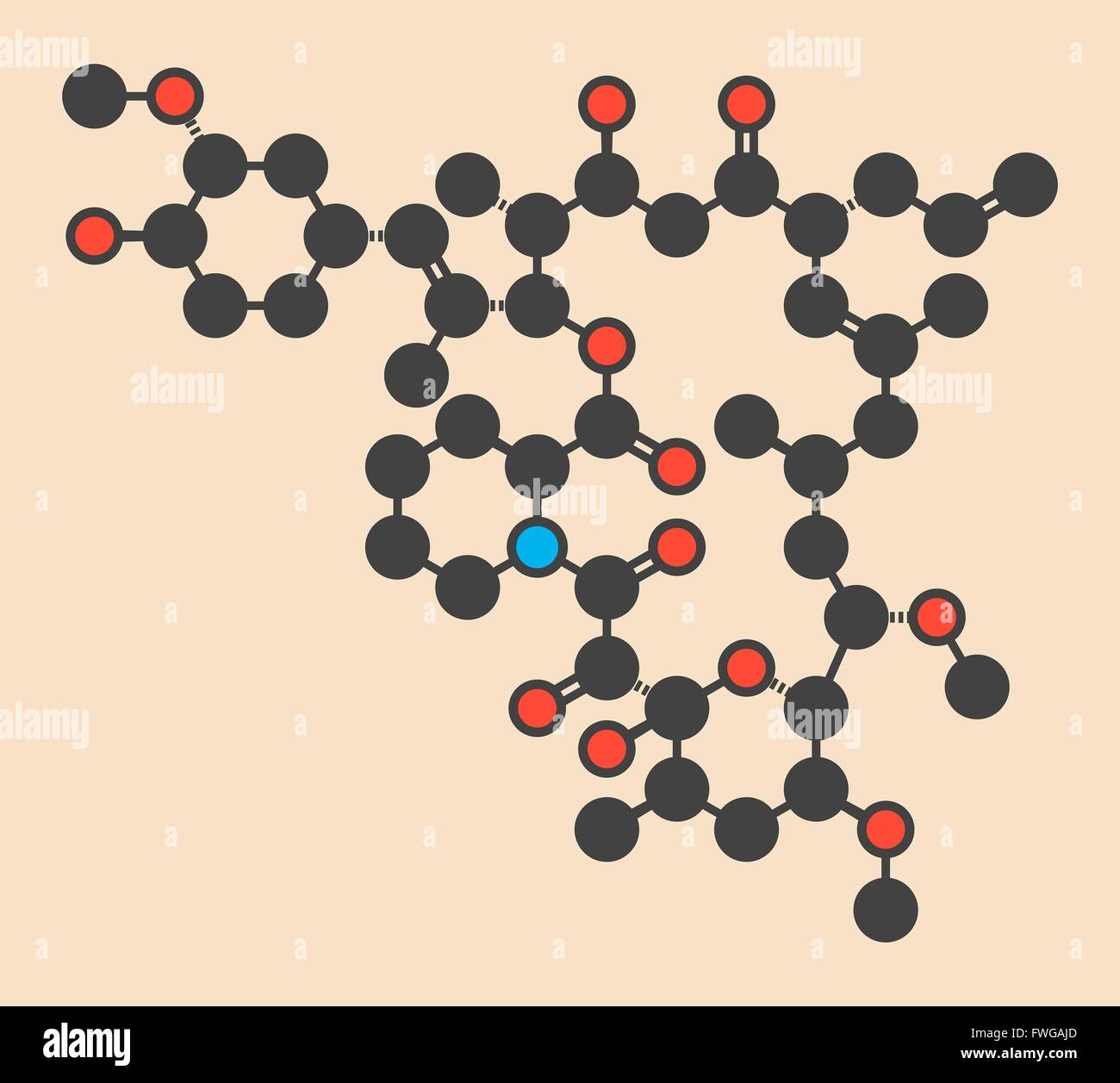 Tacrolimus (fujimycin FK-506) farmaco immunosoppressore molecola ...