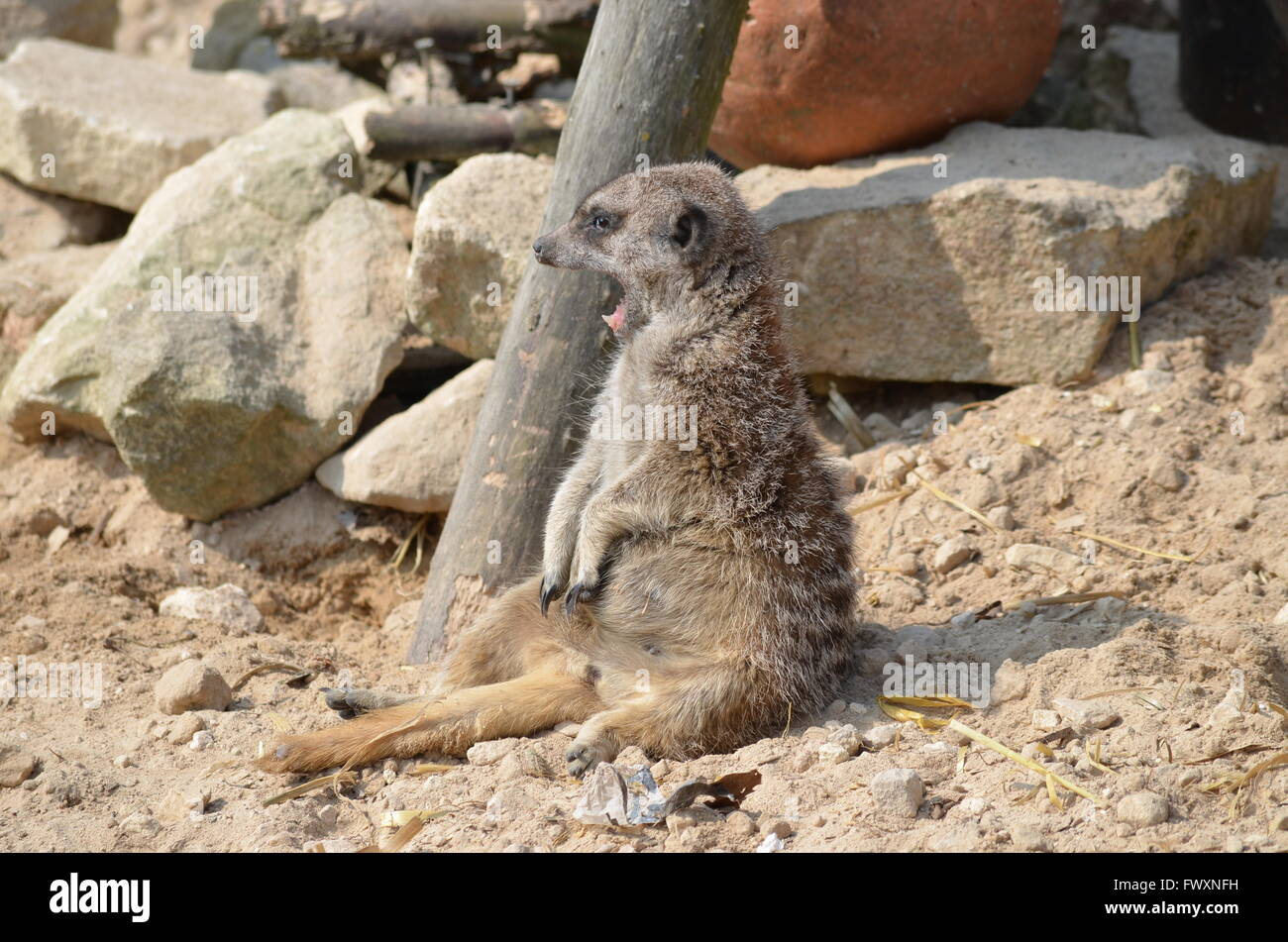 Casa di anston immagini e fotografie stock ad alta risoluzione - Alamy