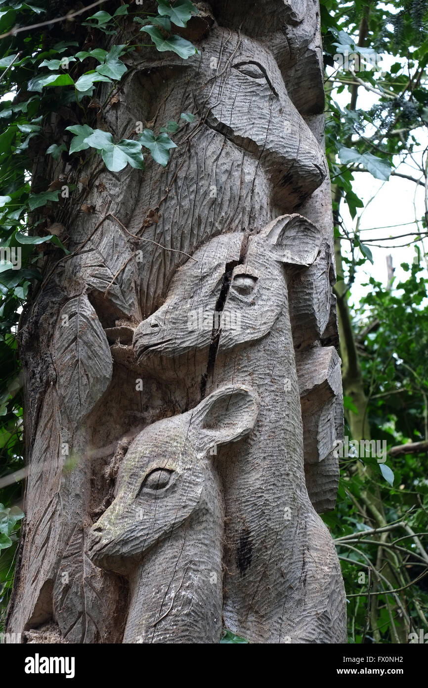 Testa di cervo intagliata in legno immagini e fotografie stock ad alta ...