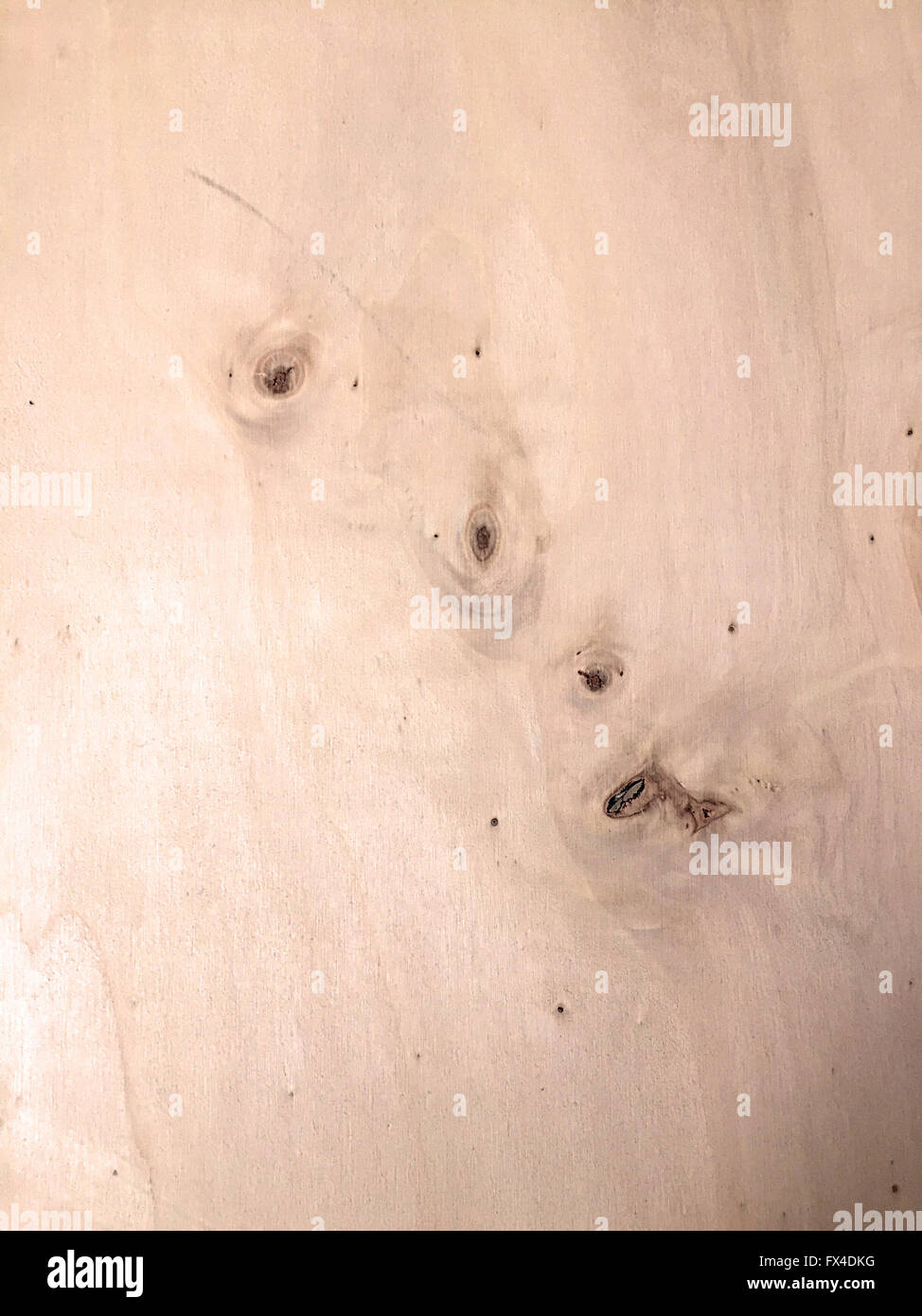 Legno di pioppo immagini e fotografie stock ad alta risoluzione - Alamy