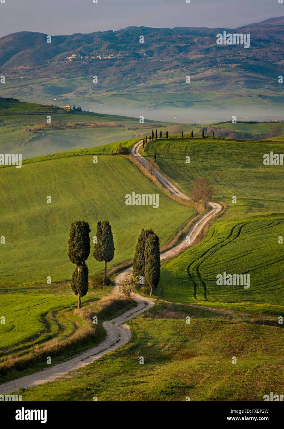 Fattoria tortuosa strada sterrata immagini e fotografie stock ad alta ...