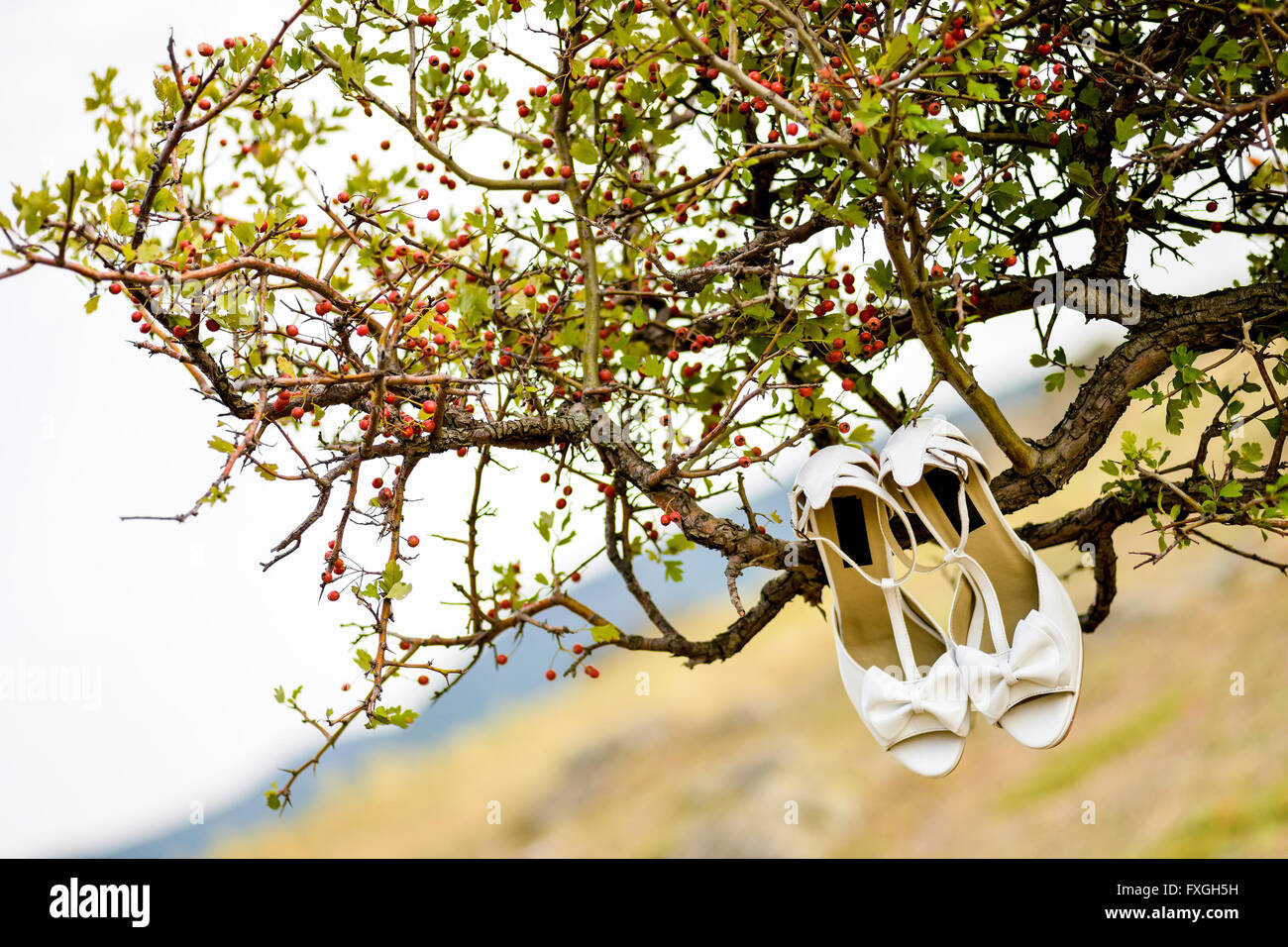 Scarpe appese immagini e fotografie stock ad alta risoluzione - Alamy