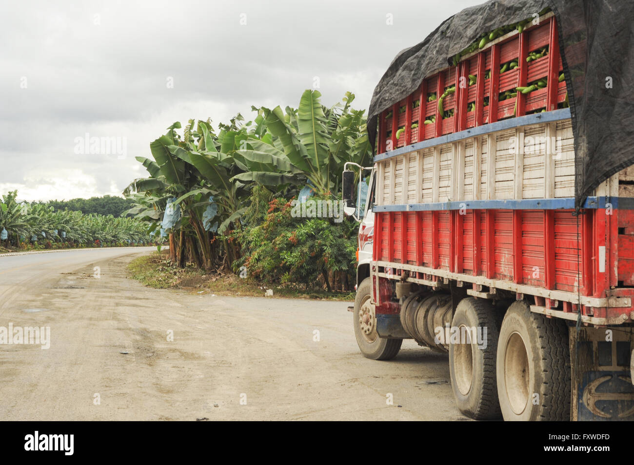 Camion della banana immagini e fotografie stock ad alta risoluzione - Alamy