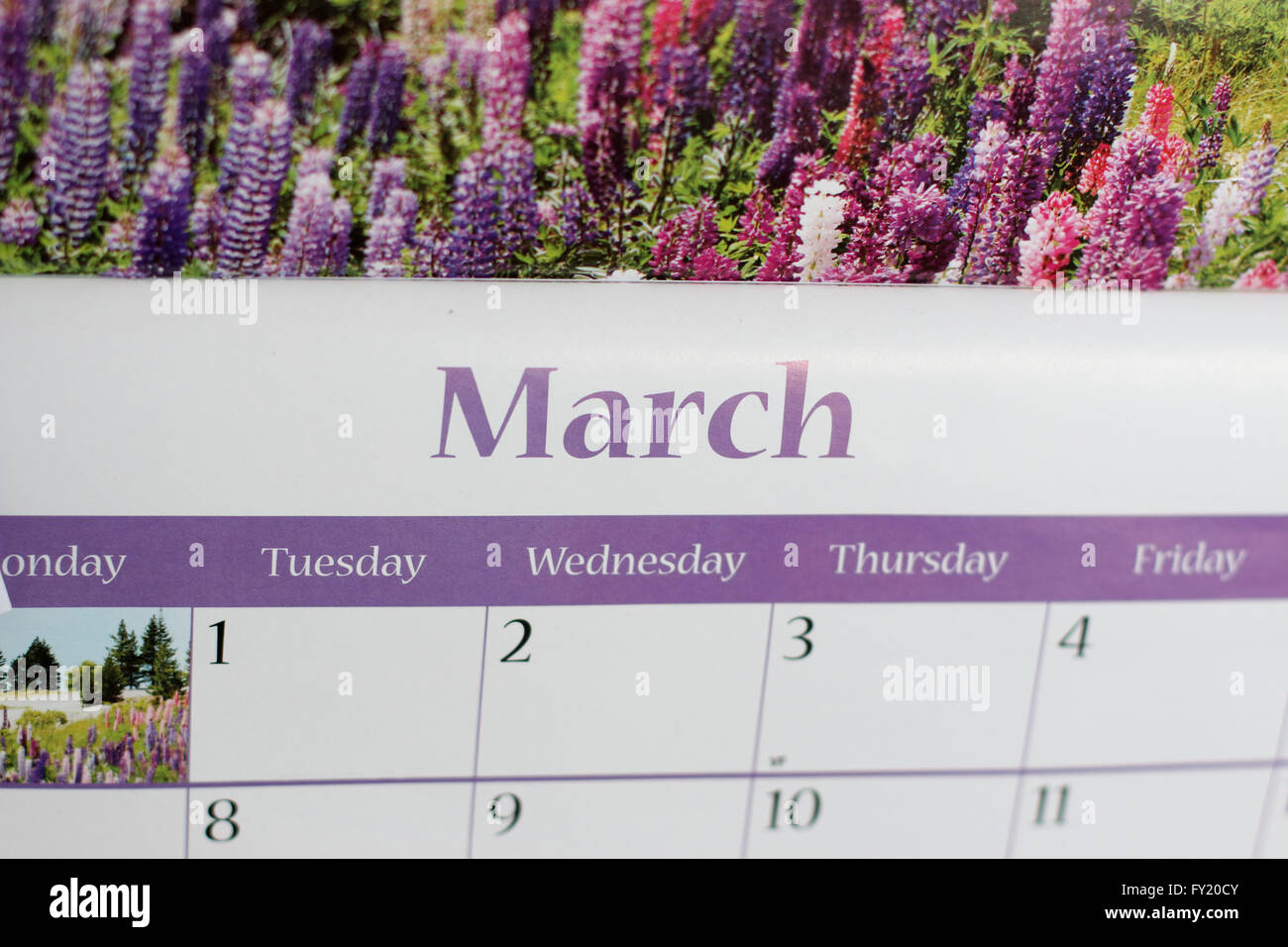 March calendar immagini e fotografie stock ad alta risoluzione - Alamy