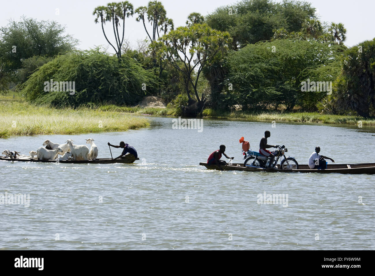 Lago ciad animali immagini e fotografie stock ad alta risoluzione - Alamy