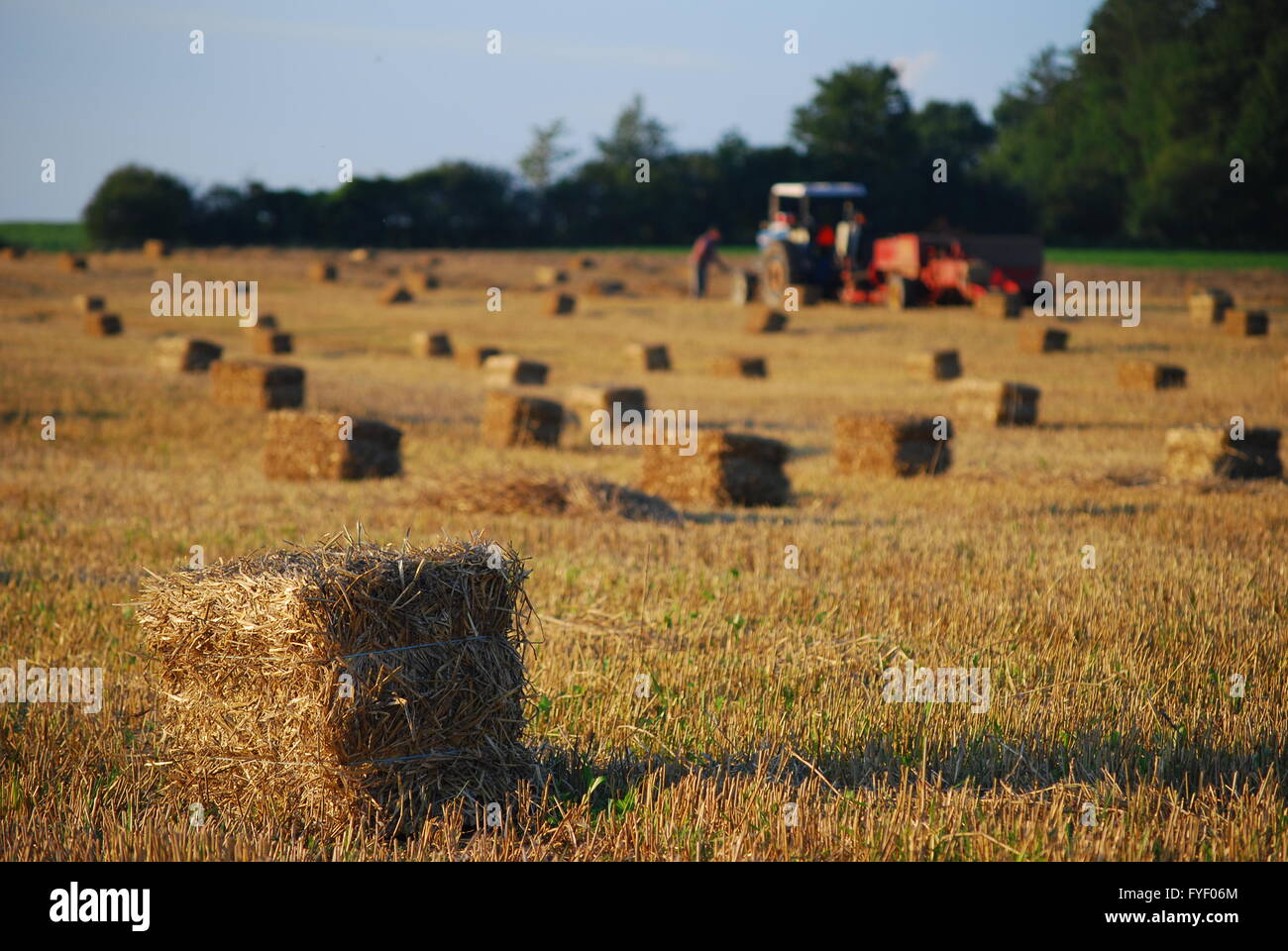 Lavorare i campi immagini e fotografie stock ad alta risoluzione - Alamy