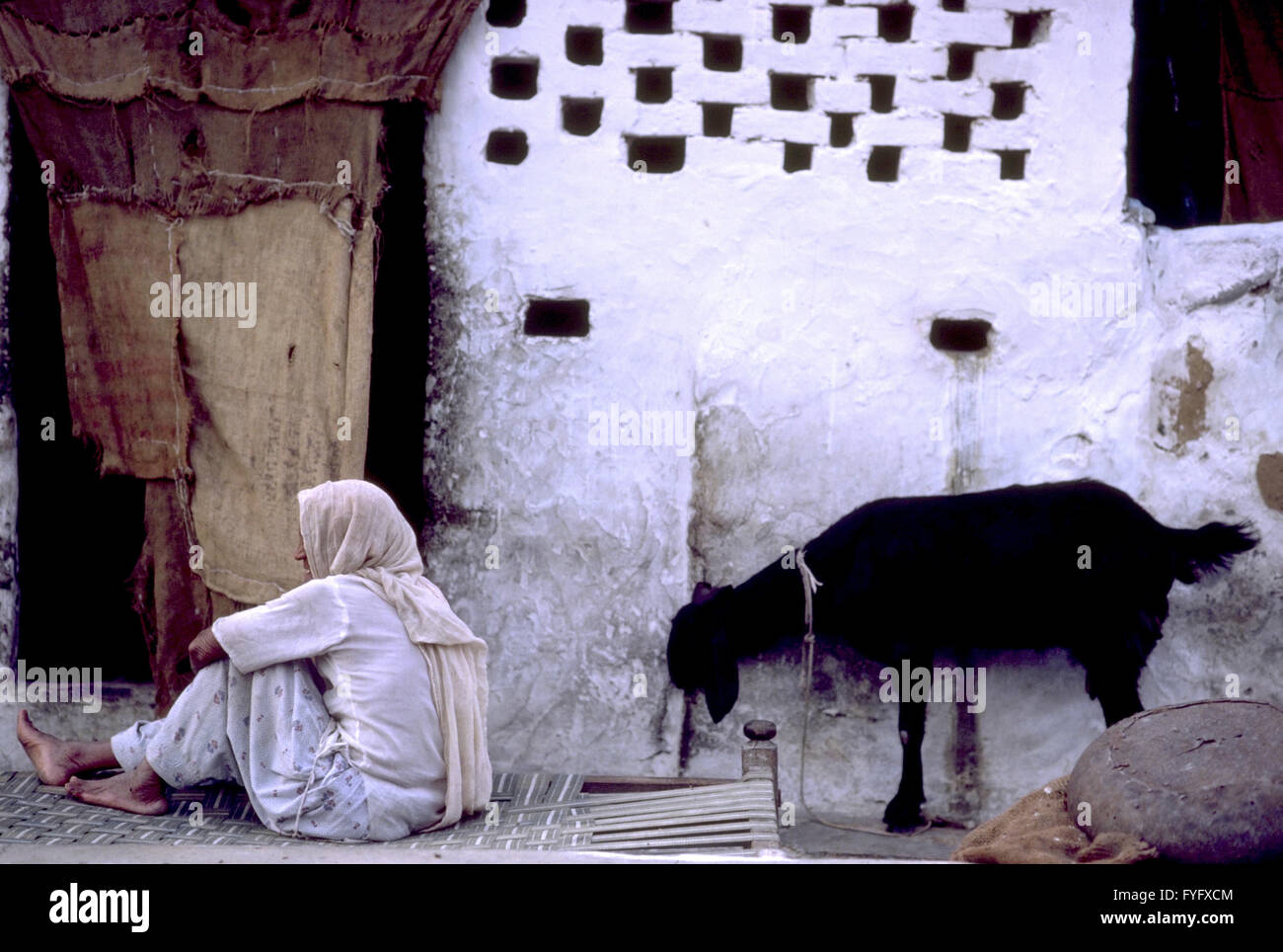 Uomo con capra immagini e fotografie stock ad alta risoluzione - Alamy