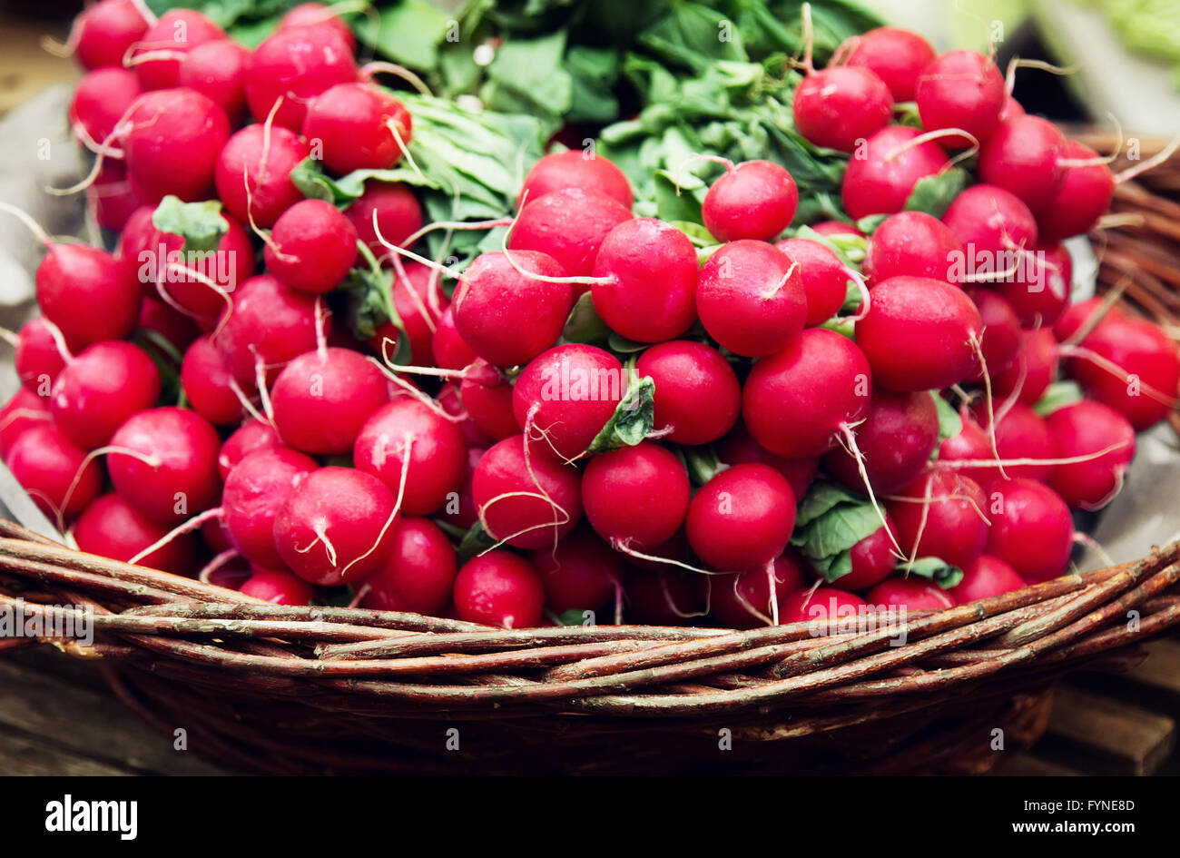 Radici a fittone immagini e fotografie stock ad alta risoluzione - Alamy
