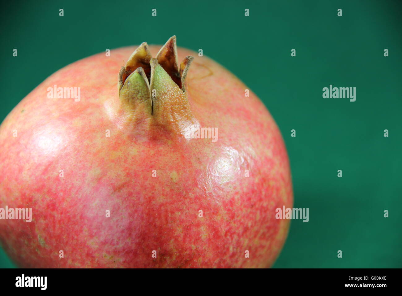 Su sfondo neutro immagini e fotografie stock ad alta risoluzione - Alamy