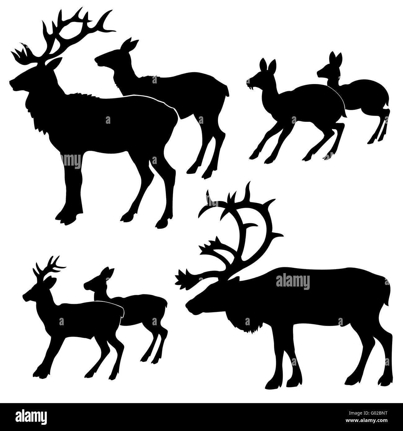 Capriolo disegno Immagini senza sfondo e Foto Stock ritagliate - Alamy