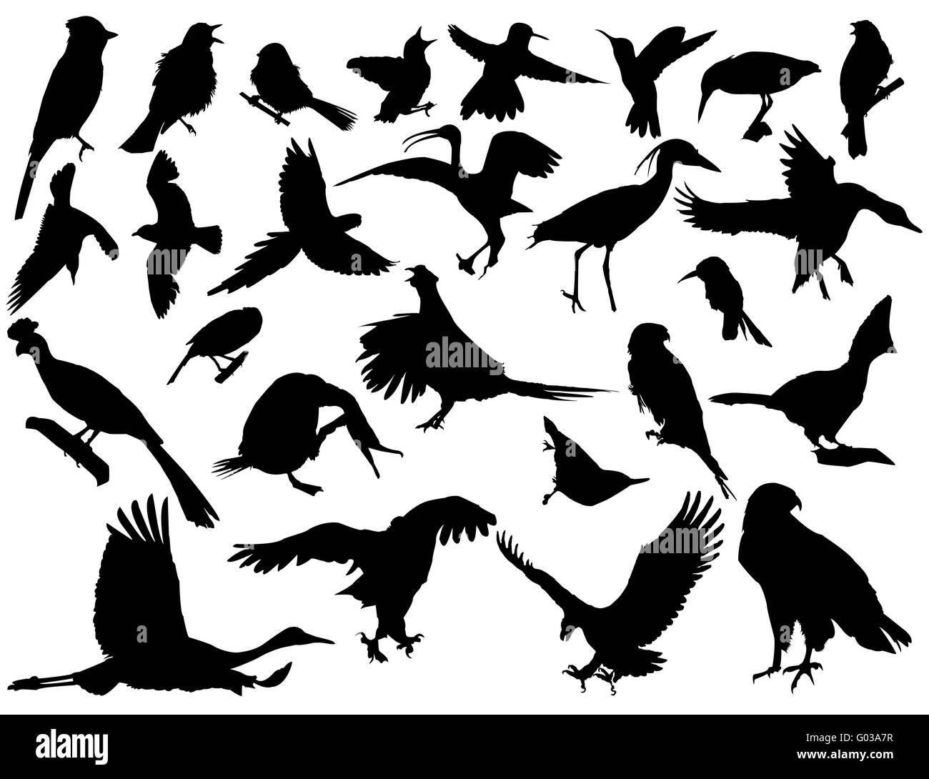 Illustrazione di sagoma di uccelli immagini e fotografie stock ad alta ...