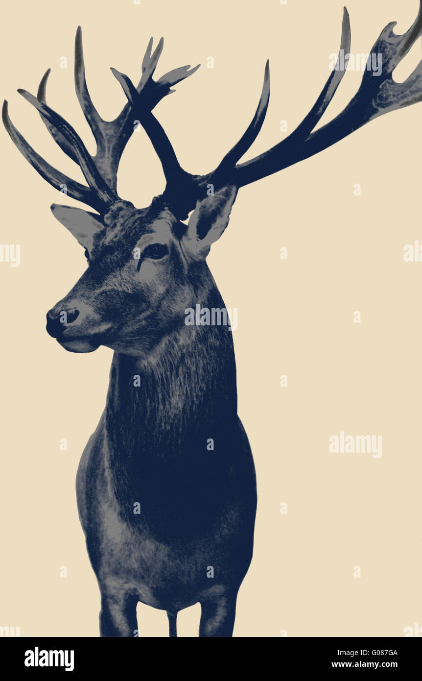 Caccia al carbone immagini e fotografie stock ad alta risoluzione - Alamy