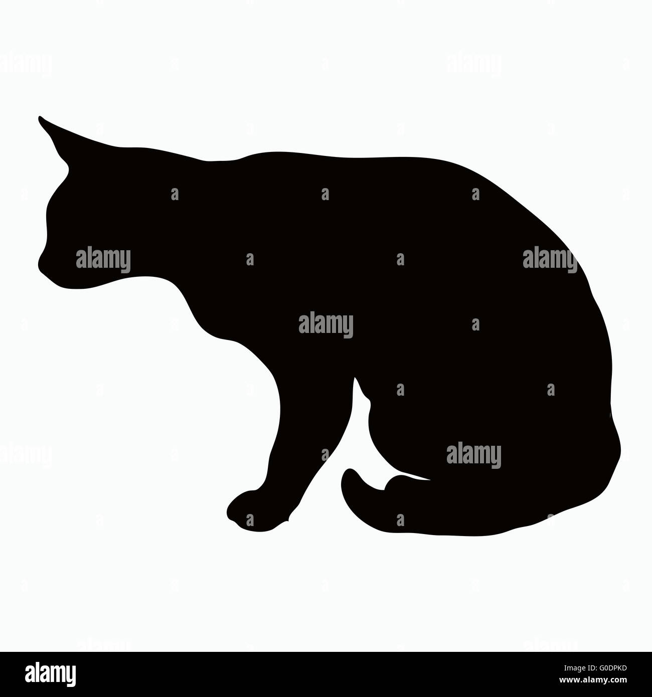 Sagoma di gatto adulto immagini e fotografie stock ad alta risoluzione ...