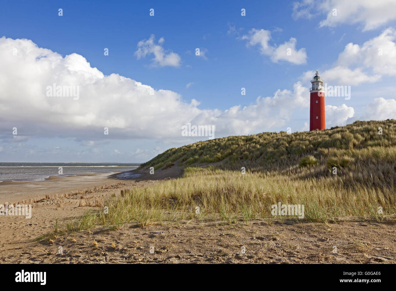 Isola di texel olanda immagini e fotografie stock ad alta risoluzione ...