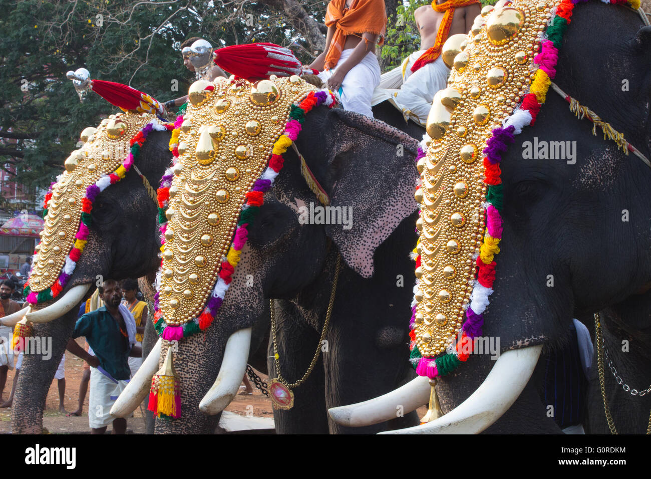 Thrissur pooram was introduced by raja rama varma sakthan thampuran ...