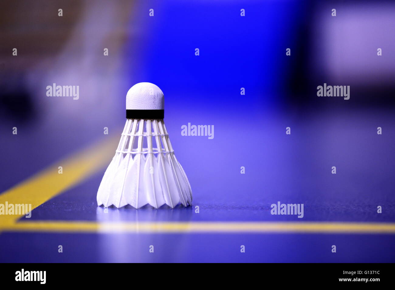 Campo di badminton immagini e fotografie stock ad alta risoluzione - Alamy