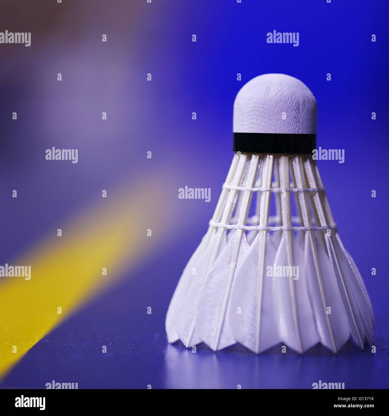 Campo di badminton immagini e fotografie stock ad alta risoluzione - Alamy